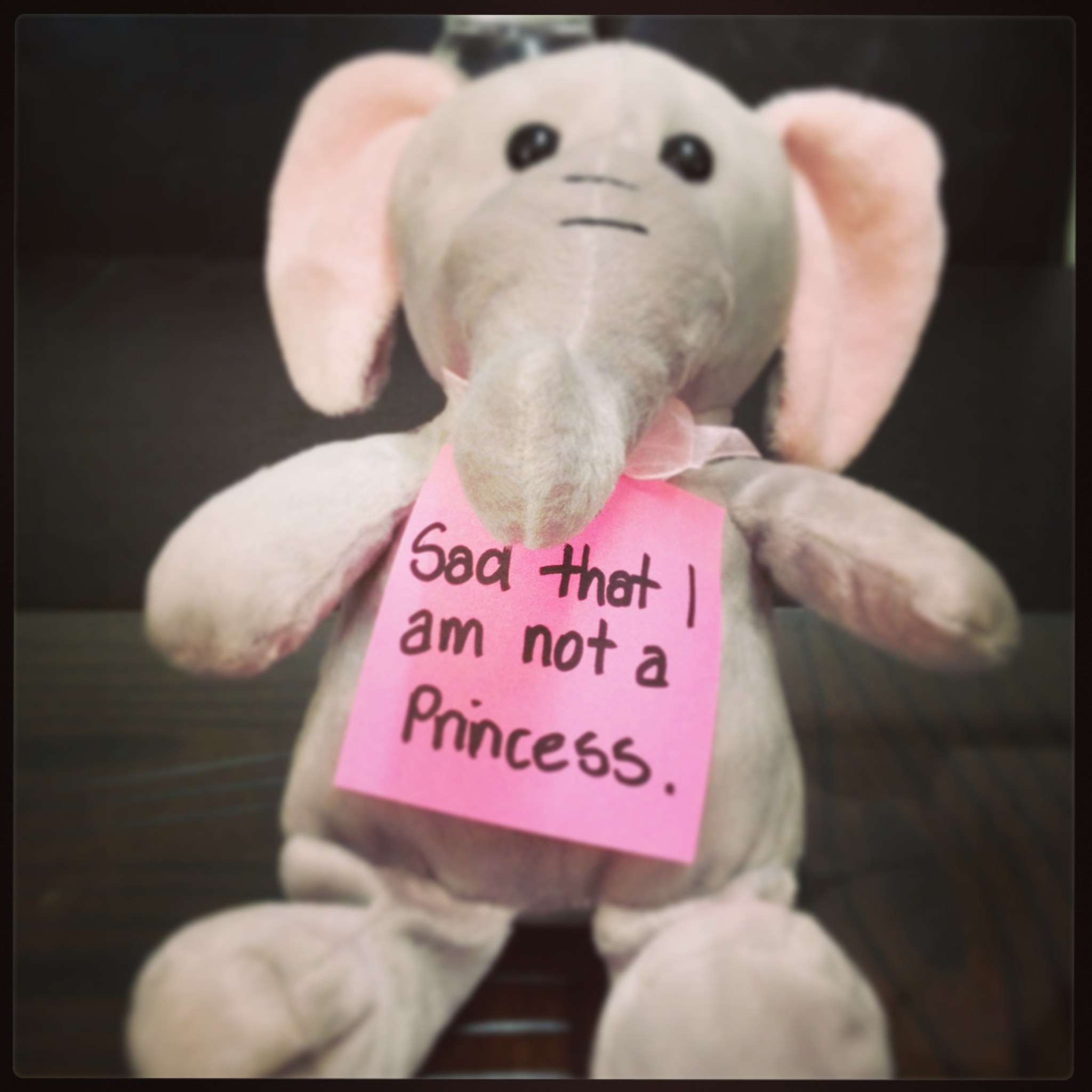 say hello to the elephant – Is there an elepant in the room?