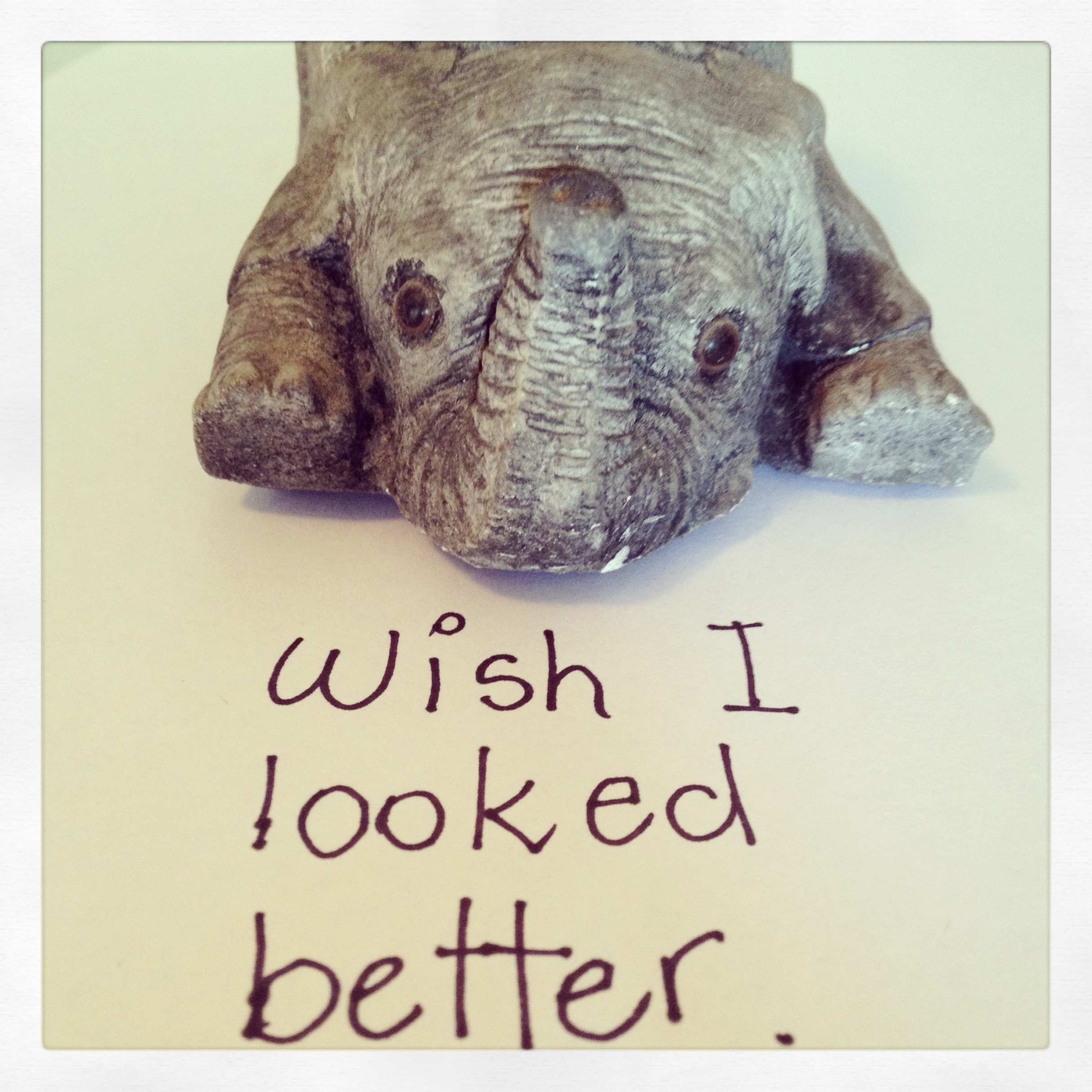 say hello to the elephant – Is there an elepant in the room?