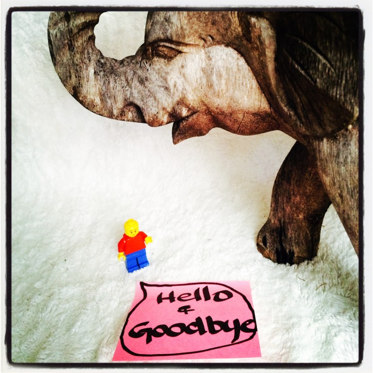 say hello to the elephant – Is there an elepant in the room?